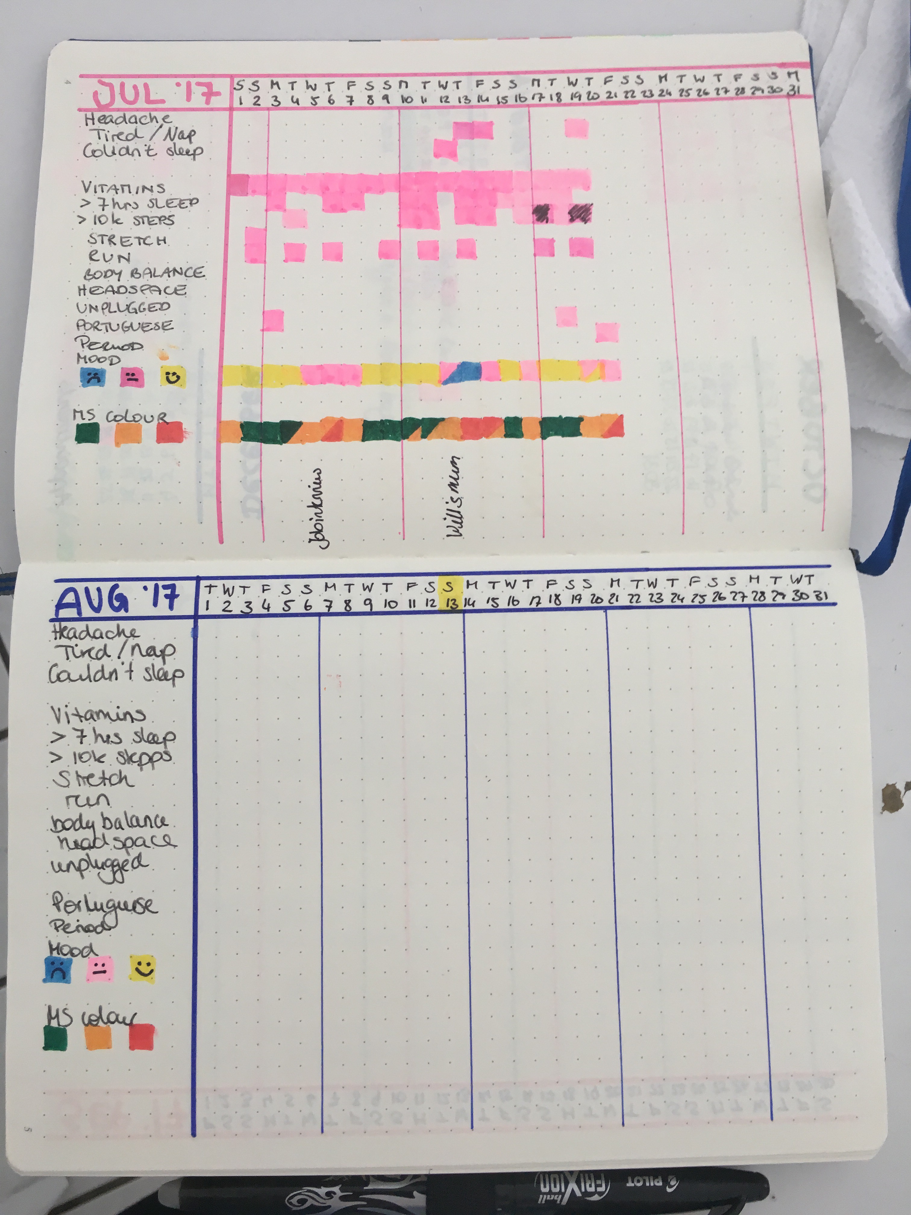 Almost 10 Years with a Bullet Journal: A Reflection – Stephanie G Zihms ...